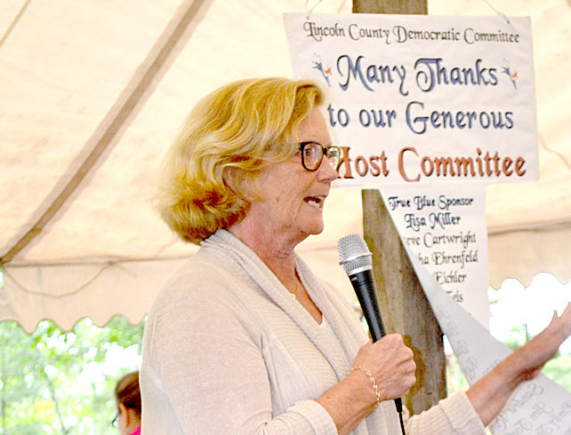 Democratic Fundraiser Launches Campaigns in 'High-Stakes' Election ...