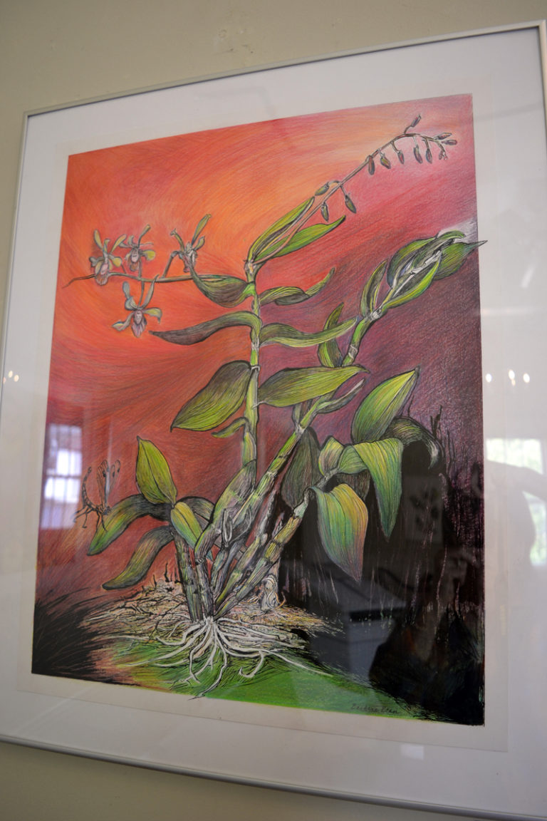 Review: Barbara Bean Expresses Herself Beautifully Via Botanical ...