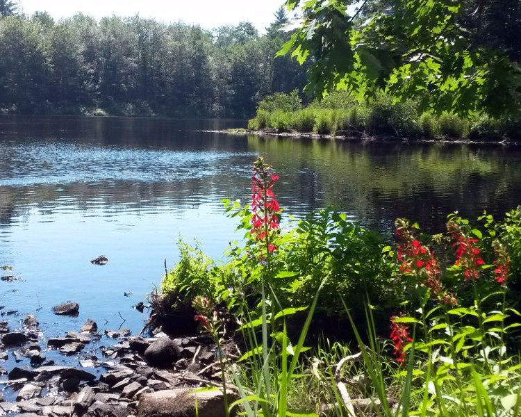 Riverbrook Preserve Grand Opening is Sept. 7 - The Lincoln County News