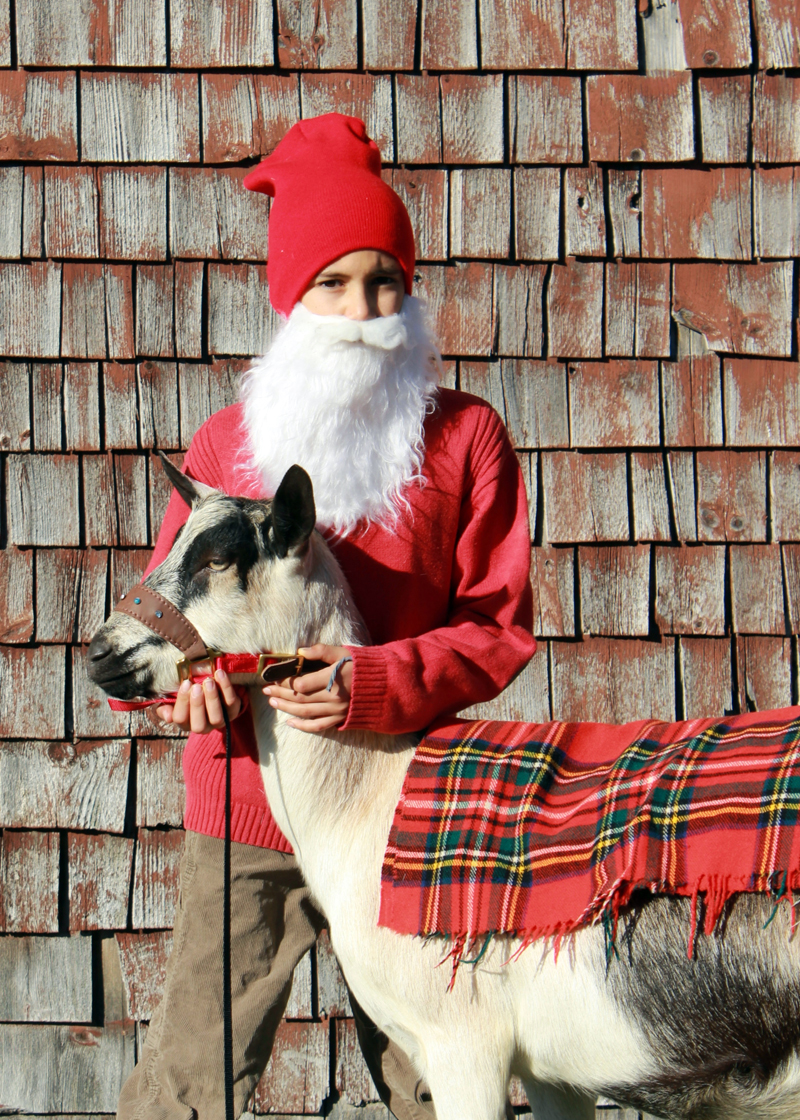 Yule Goat and Tomten at Pumpkin Vine Holiday Market - The Lincoln ...