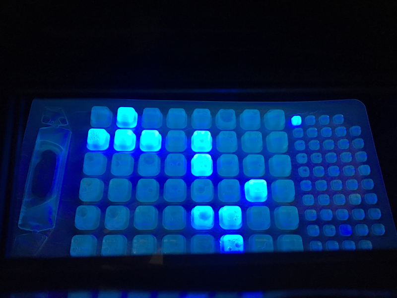 DRA Water Quality Lab Will Help Trace Sources of Bacterial ...