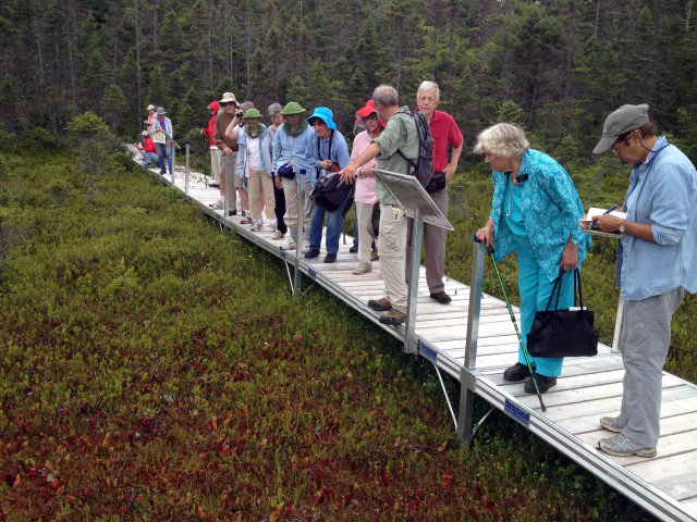 Guided Bog Walk at Nature Center - The Lincoln County News