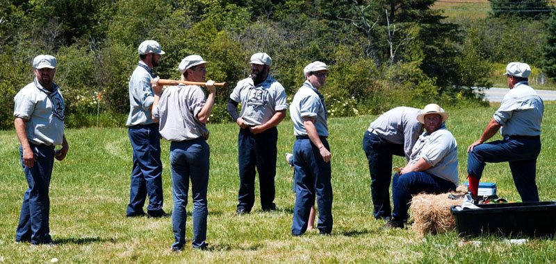 Vintage Game a Celebration of Baseball and Its History - The Lincoln ...