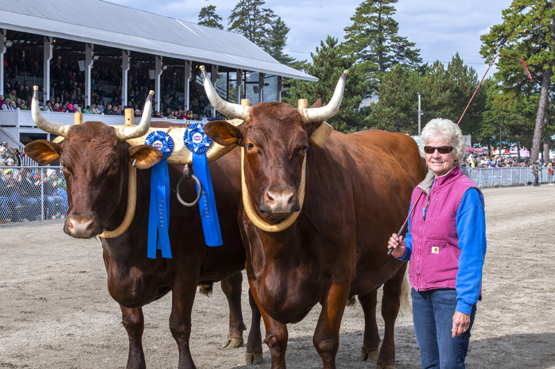 Orff Wins Best Overall Pair at Fryeburg Fair - The Lincoln County News