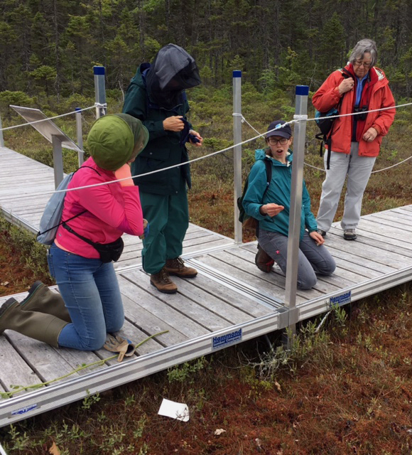 Spring into Nature at Hidden Valley Nature Center - The Lincoln County News
