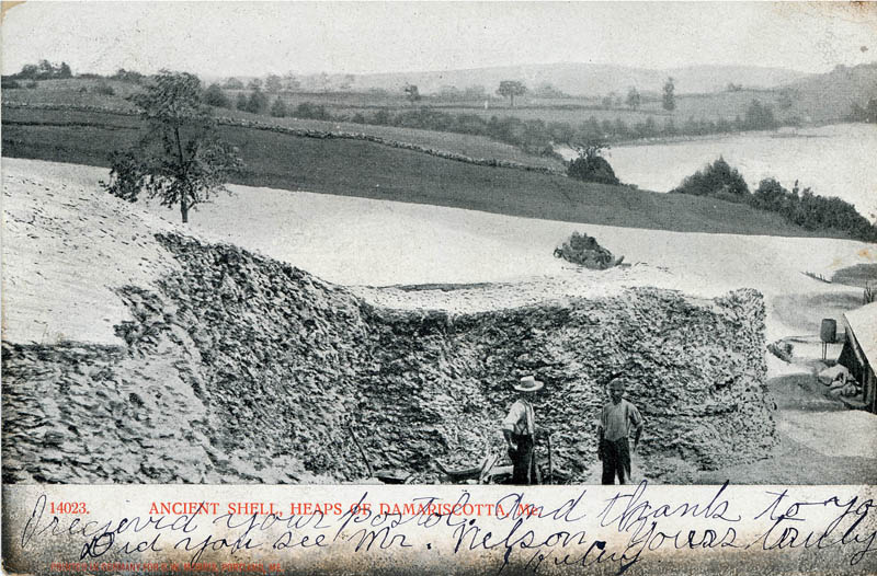 ‘Maine’s Threatened Shell Middens’ at Hudson Museum - The Lincoln ...