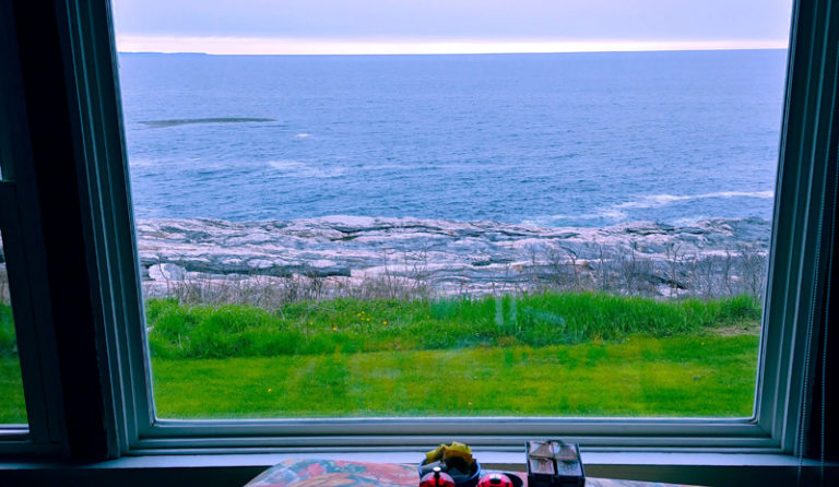 Seagull Shop Owners Aim to Rebuild In Time for 2021 Season - The ...