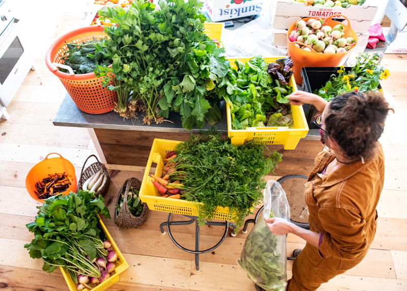Erica Berman of Veggies to Table. (Photo courtesy Kelsey Kobik) - The ...