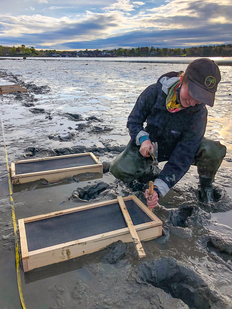 Student-Led Community Science Program to Support Shellfish Management ...