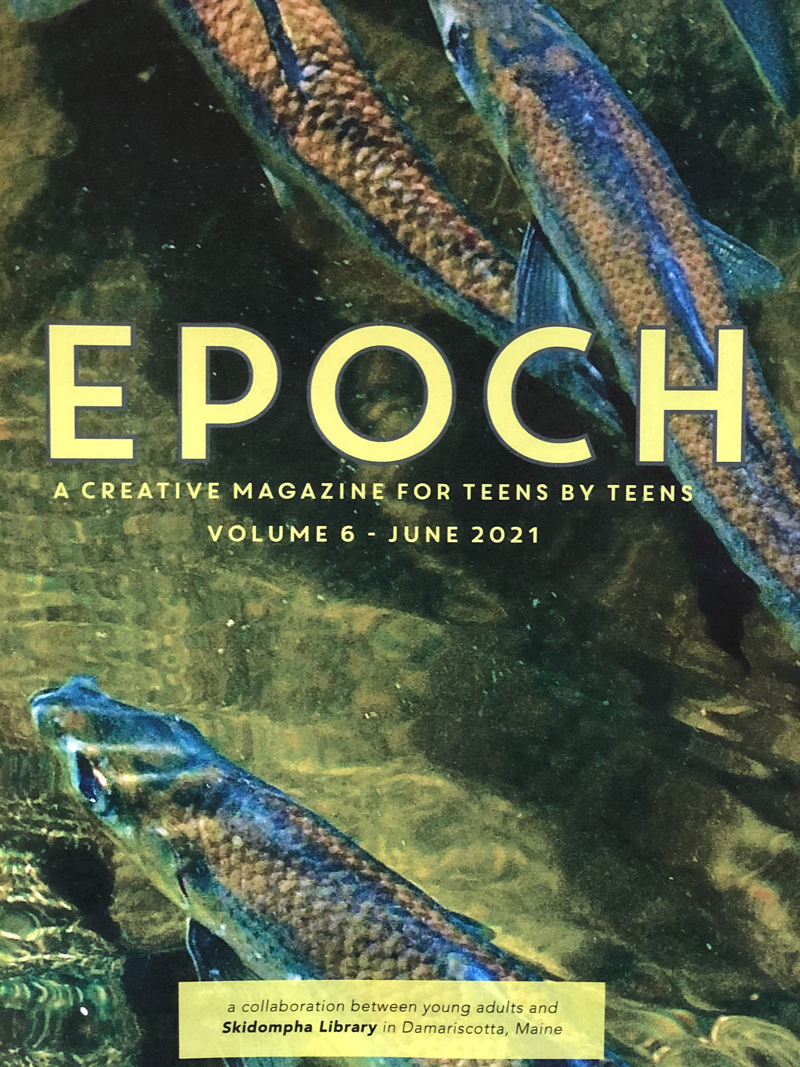 Skidompha Publishes Sixth Installment of Epoch - The Lincoln County News