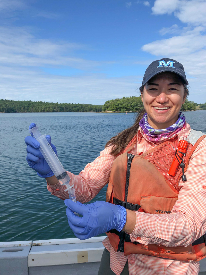 Shoreline Science Talks Begin at Darling Marine Center - The Lincoln ...