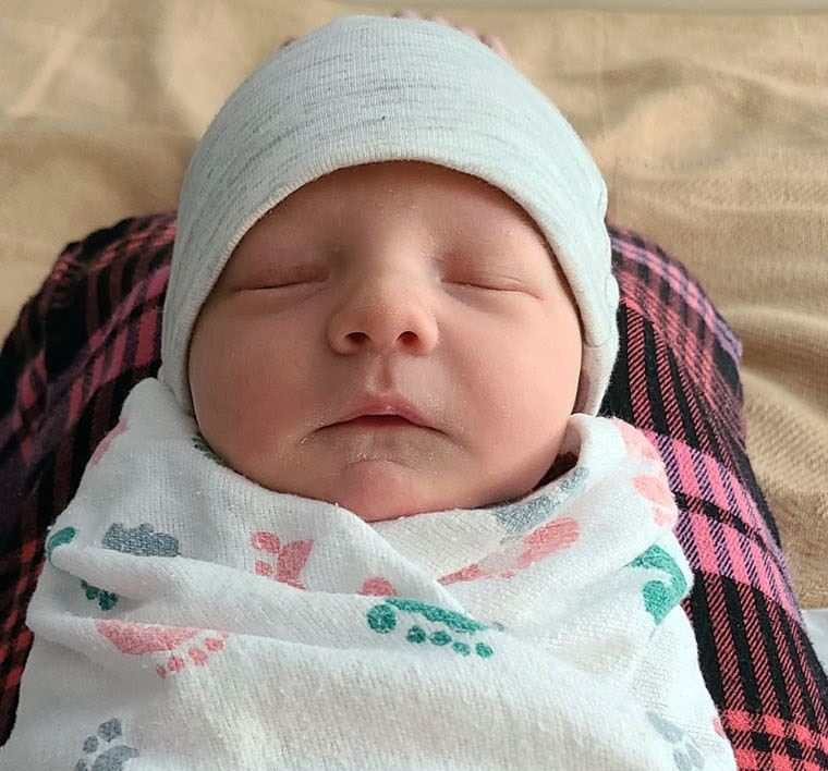 Frederick Anthony Leeman - The Lincoln County News