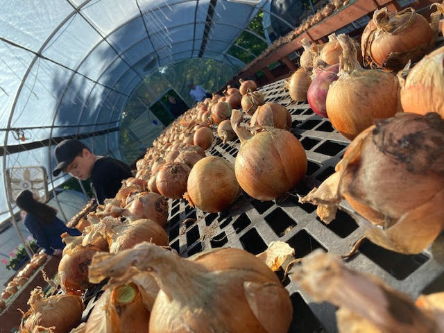 LA's IDEAL Program Focuses on Service Learning - The Lincoln County News