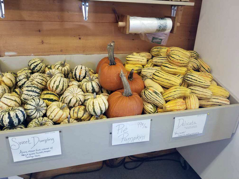 Bringing Food Home - The Lincoln County News