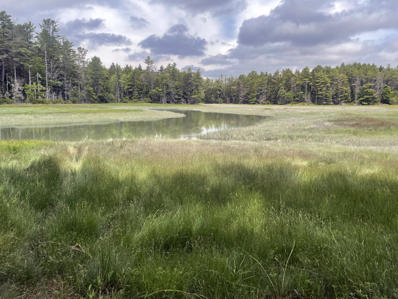 Wednesday Wanders Hike Series Explores the Midcoast - The Lincoln ...