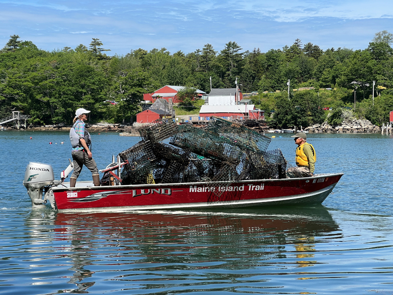 Volunteers Join Forces to Clear Oar Island - The Lincoln County News