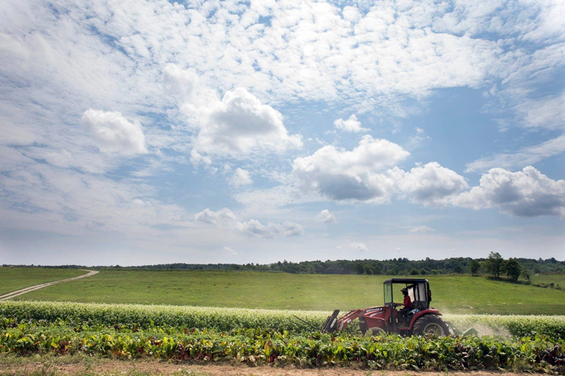Bringing Food Home - The Lincoln County News