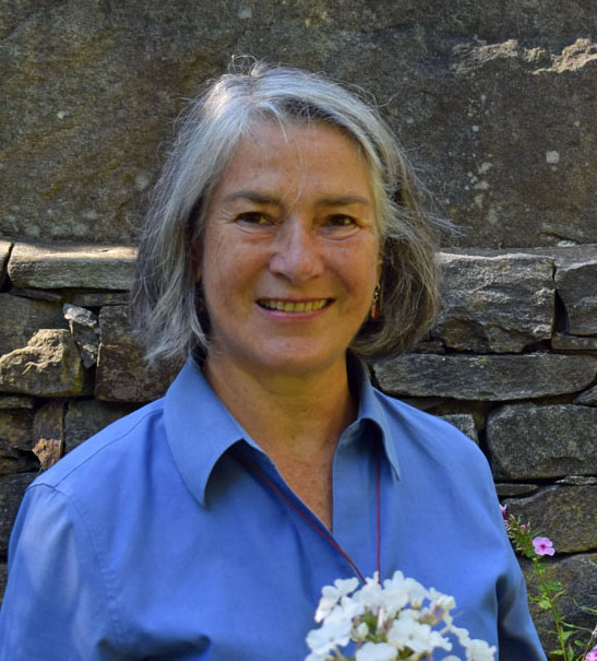 Senator Vitelli Seeks Fourth Consecutive Term in Maine Senate - The ...