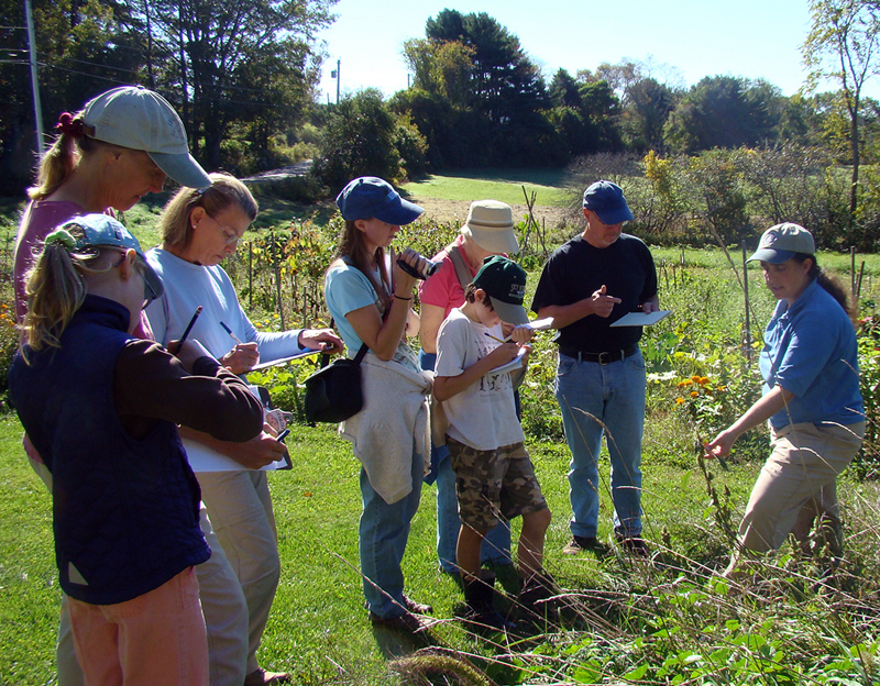 Wild Edibles Walk at Coastal Rivers Salt Bay Farm - The Lincoln County News