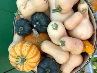 Bringing Food Home - The Lincoln County News