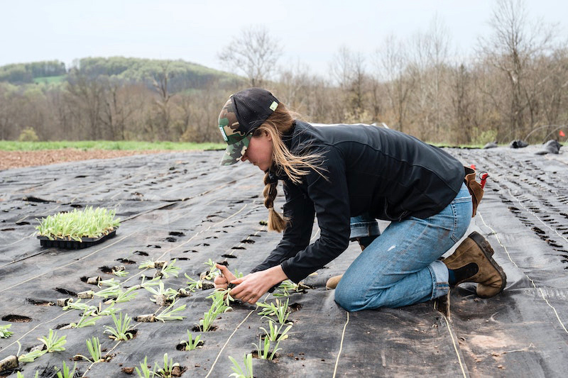 Horticulture Apprentice Training Program Seeks Host Businesses ...
