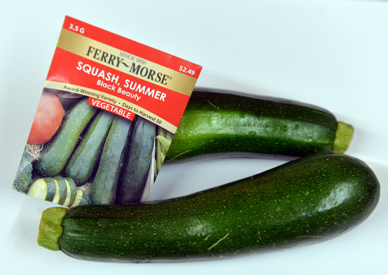 The Zucchini Keeps Multiplying. Help! - The Lincoln County News
