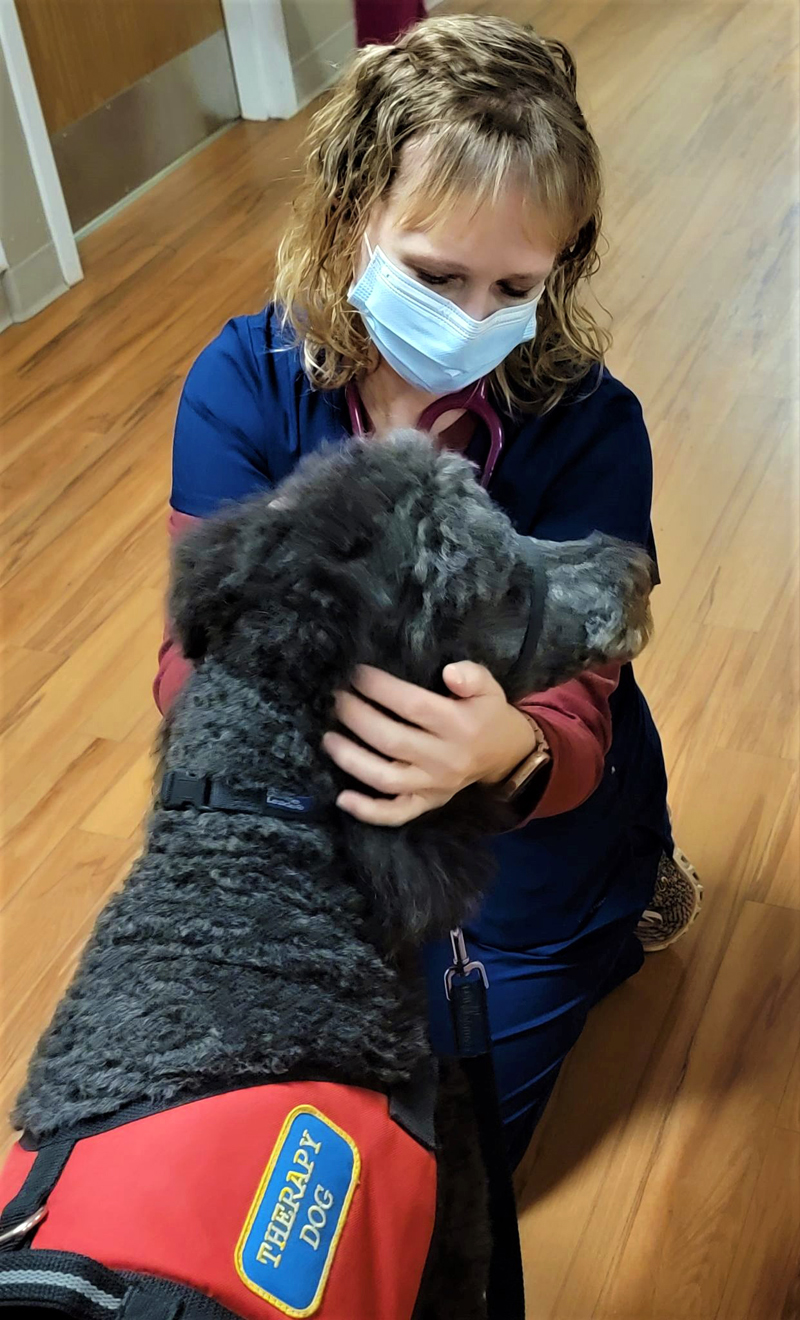 Spotlight on Simon the Therapy Dog - The Lincoln County News