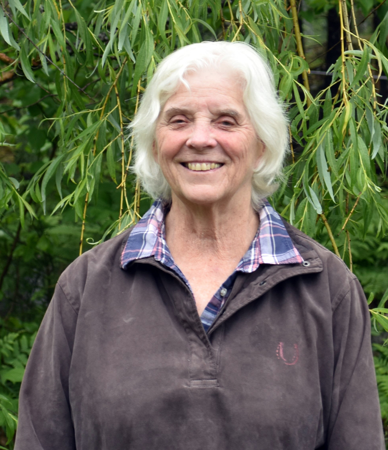 Pieh Looks to Preserve Industries, Bridge Divides in House District 45 ...