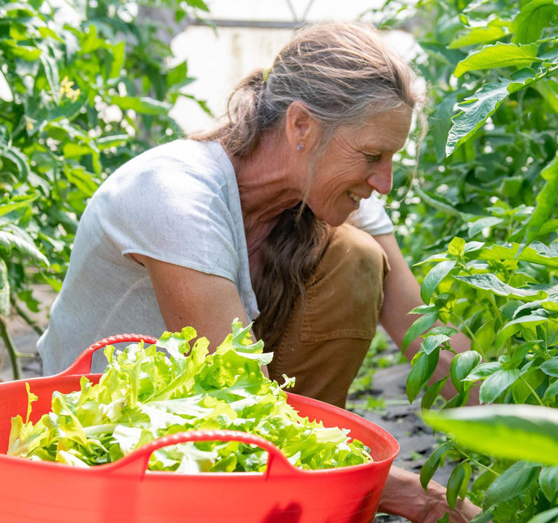 Bringing Food Home - The Lincoln County News