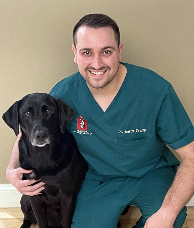Medomak Veterinary Services Welcomes New Vet - The Lincoln County News