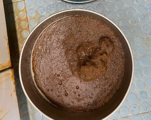 Researchers Identify Unusually Large Brown Algae Bloom in Gulf of Maine - The Lincoln County News