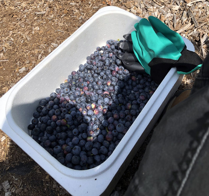 Bringing Food Home - The Lincoln County News