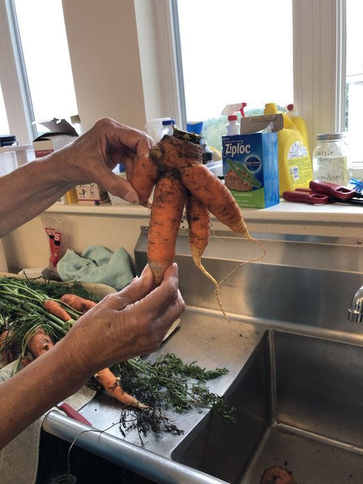 Bringing Food Home - The Lincoln County News