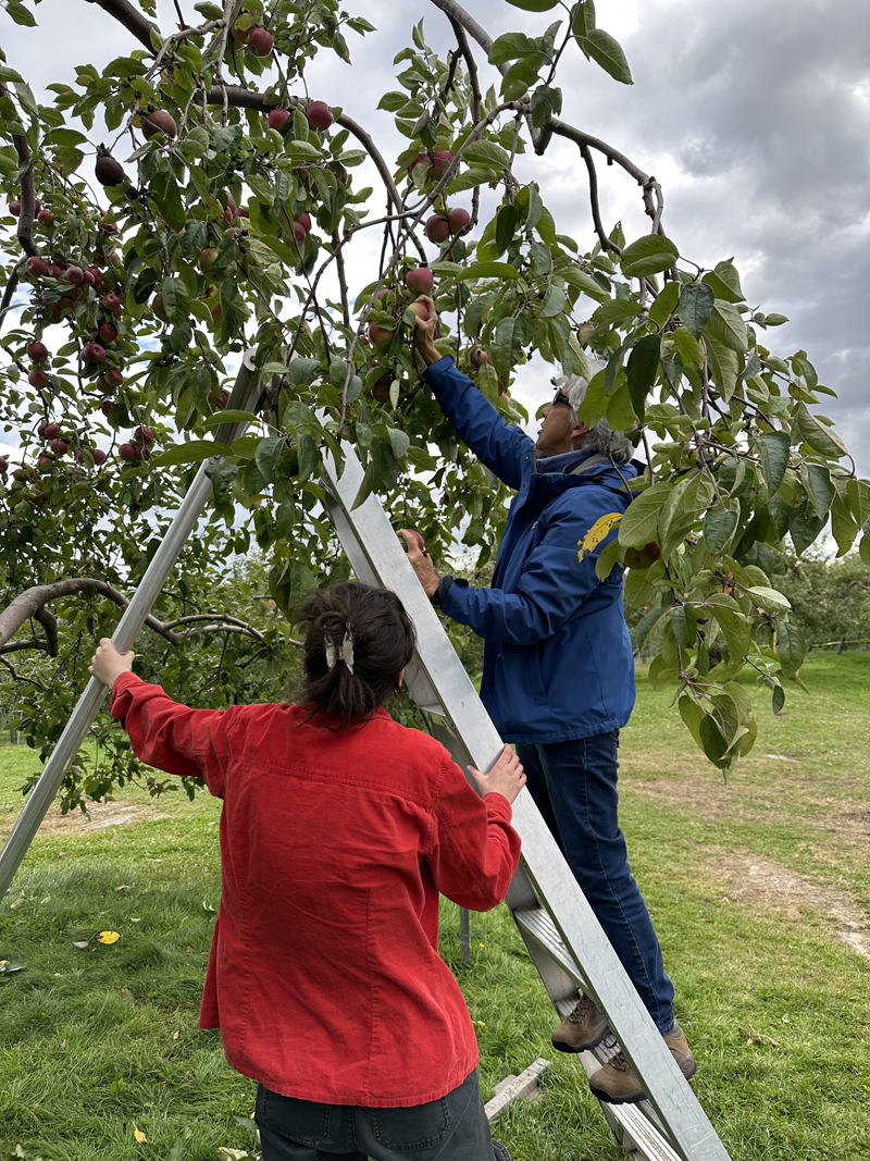 Bringing Food Home - The Lincoln County News