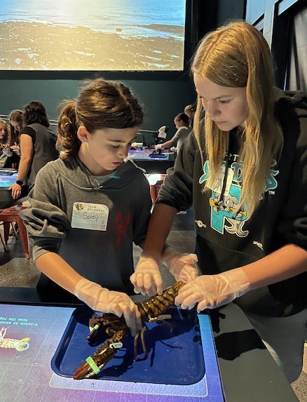 NCS Students Dive Into Marine Science - The Lincoln County News