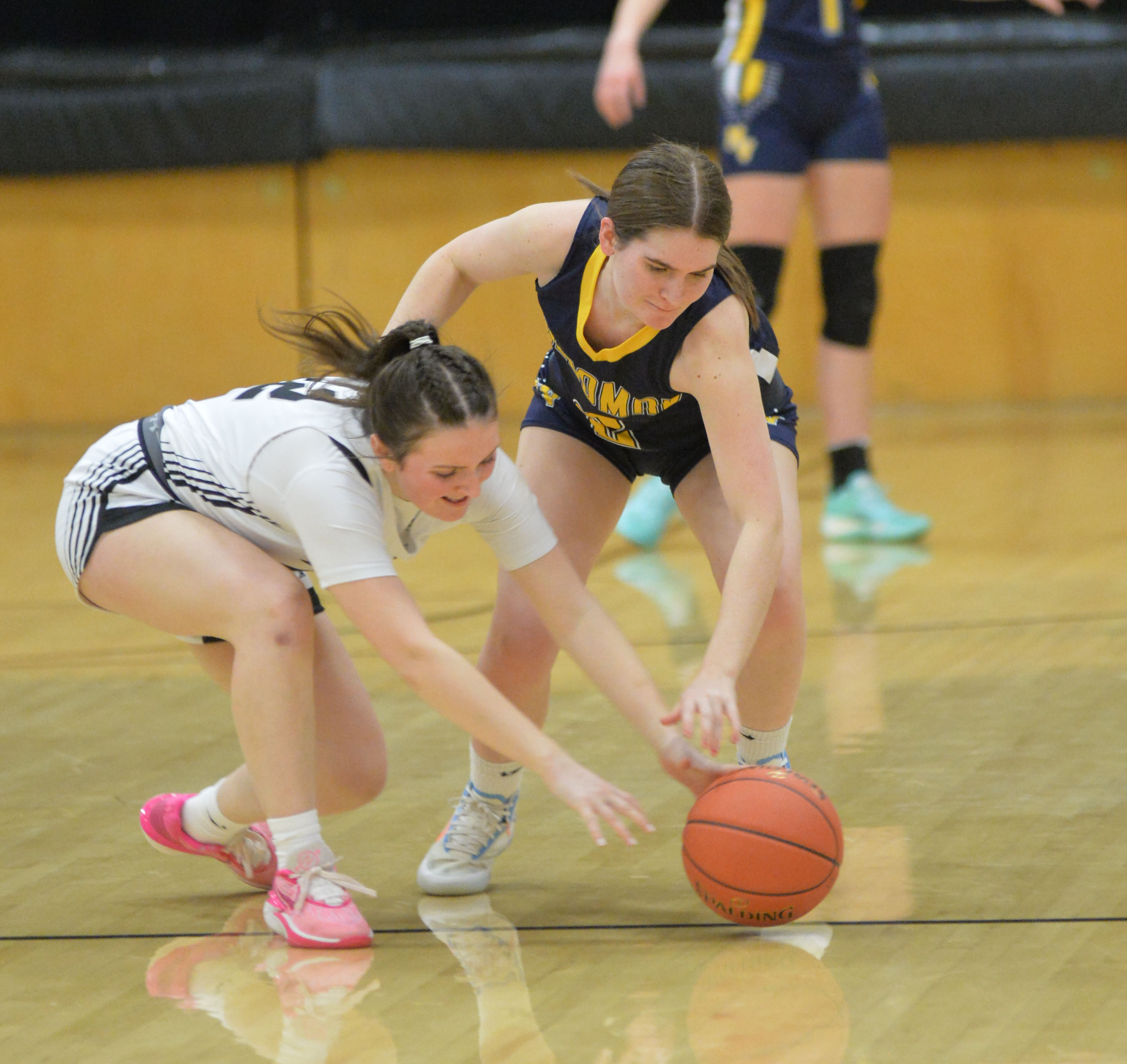 Lady Panthers Rob Eagles Nest - The Lincoln County News