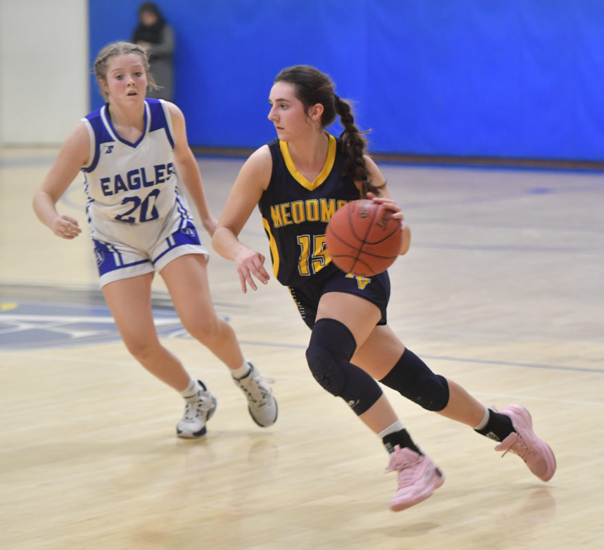 Lady Panthers pounce on Eagles - The Lincoln County News