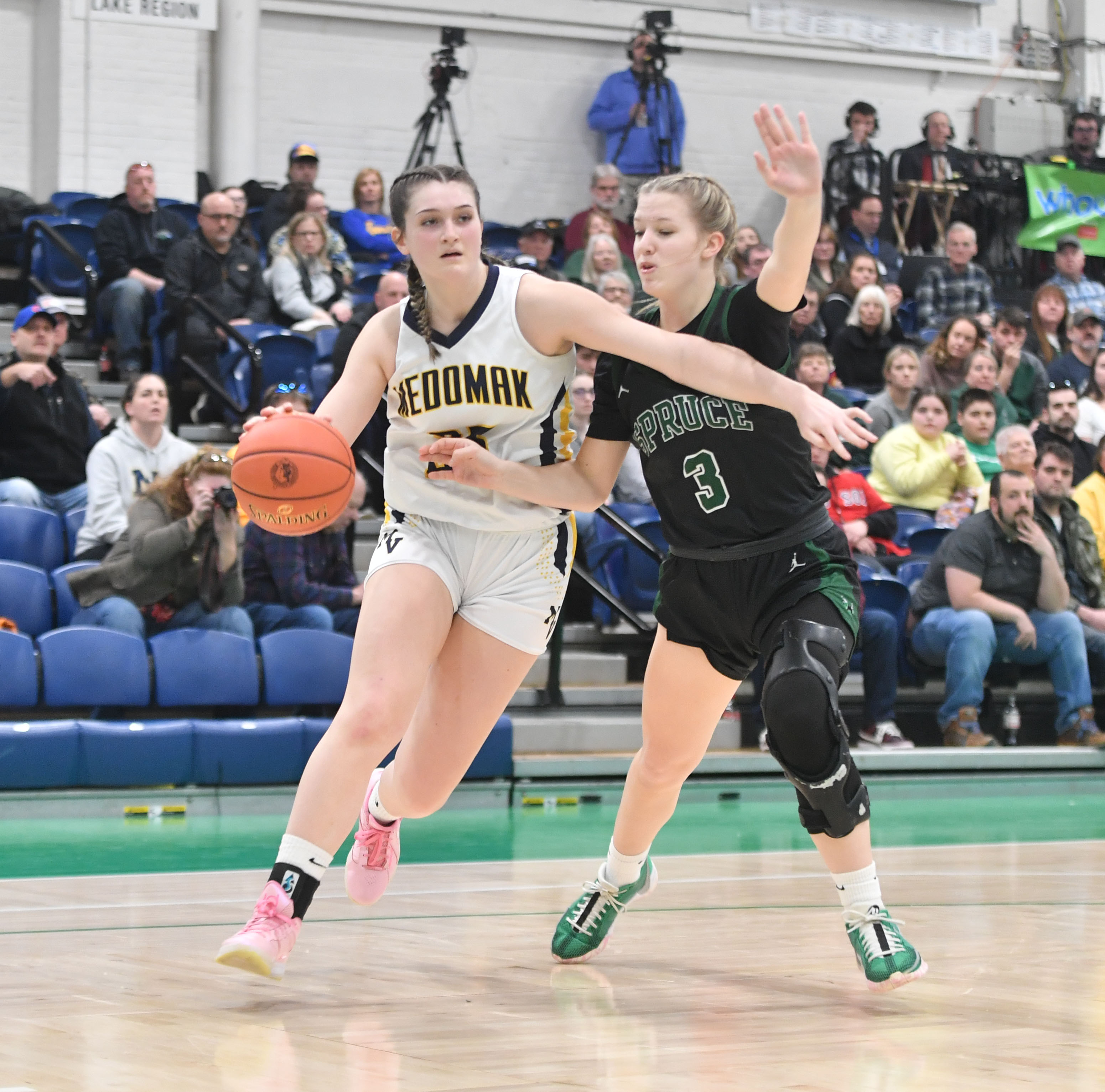 Panthers Eliminated From Girls Basketball Playoffs - The Lincoln County ...