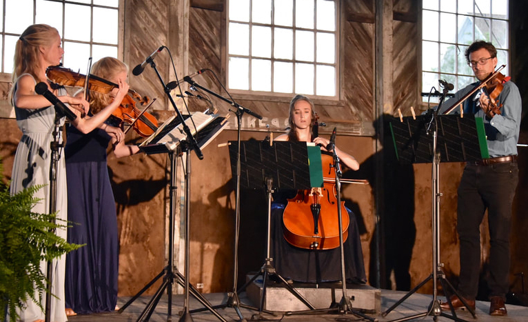 Halcyon String Quartet Brings McCloskey To Lincoln Theater - The ...