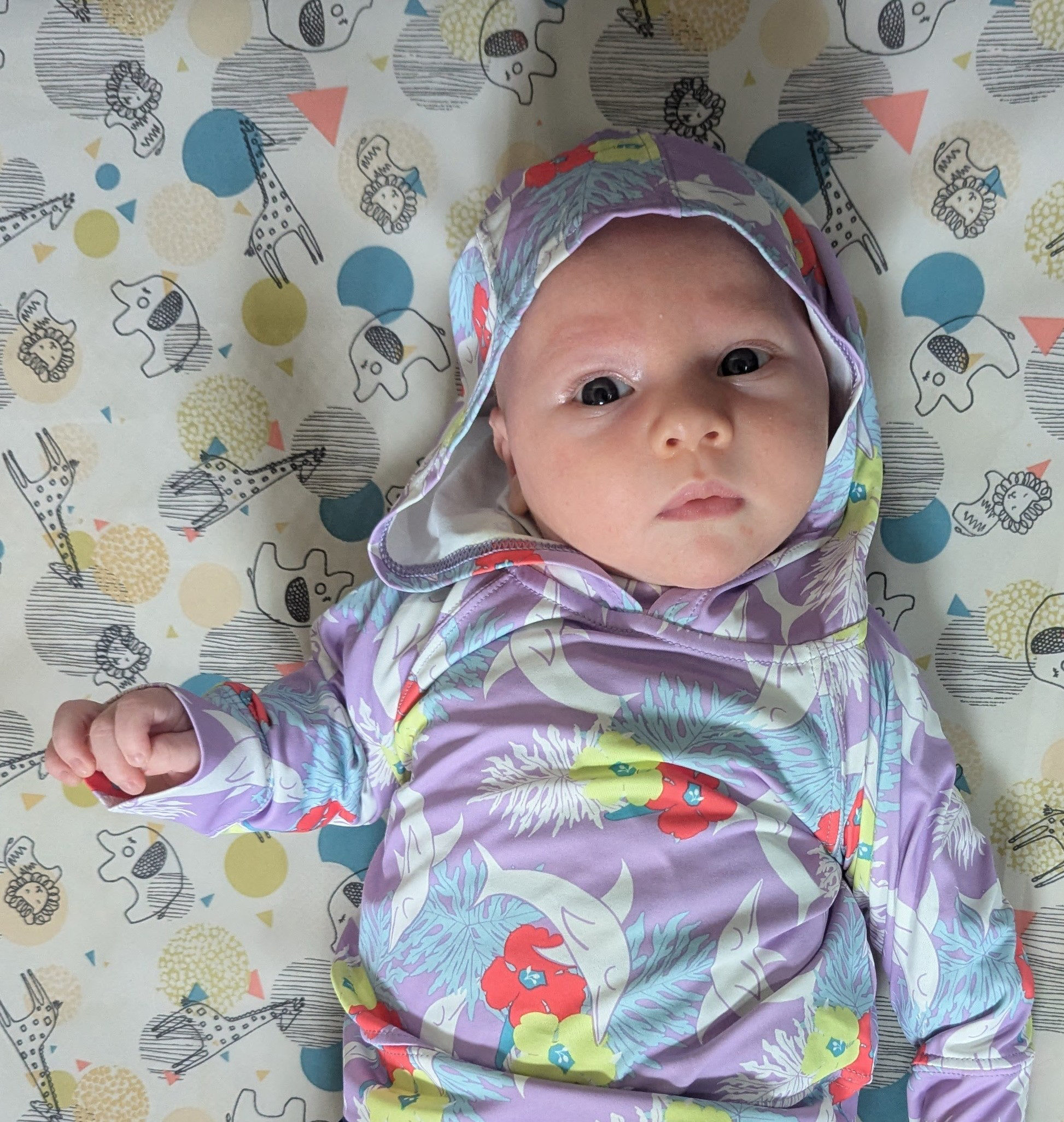 Finnegan Hamish Amos Balch - The Lincoln County News