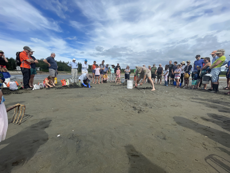 Explore Georgetown Clam Flats with KELT - The Lincoln County News