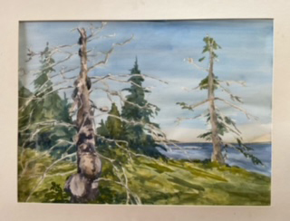 ‘Trees of Rutherford's Island’ at Rutherford Library - The Lincoln ...