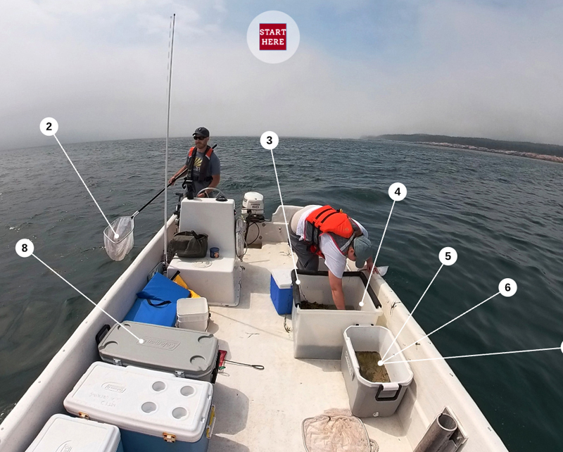 Explore Maine’s Aquaculture Industry With New Virtual Field Trips From ...