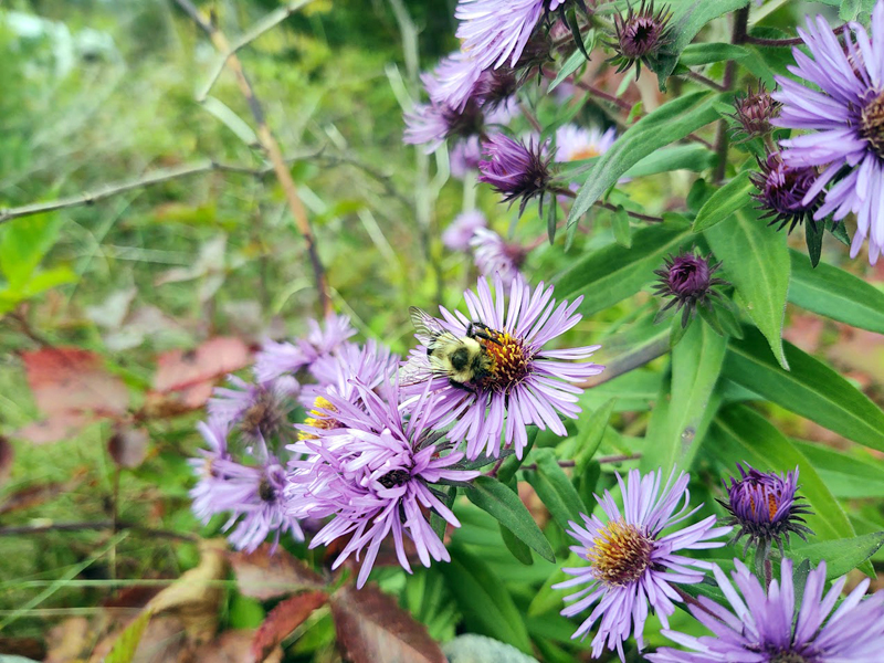 Bringing Food Home - The Lincoln County News