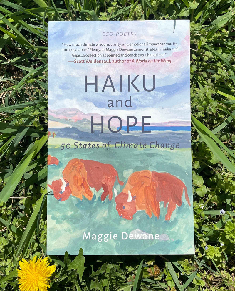 Local Author's Debut Book Combines Poetry and Prose To Explore The ...