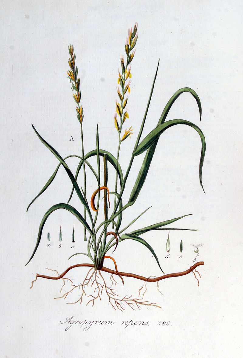 In Nature - The Lincoln County News