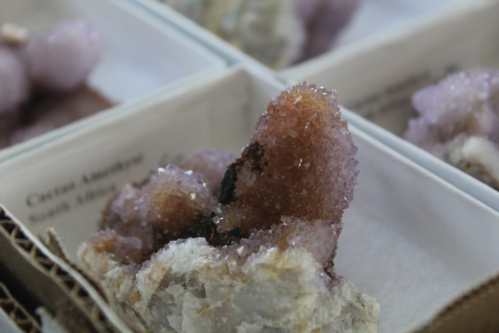 A sample of cactus amethyst glitters on display at David Hasenfu - The ...