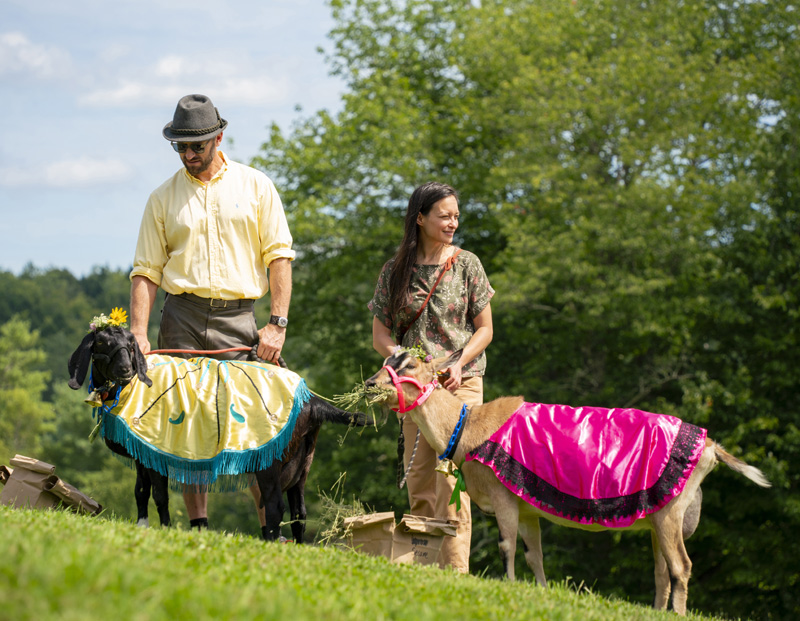 Third Annual Goat Pageant At Pumpkin Vine Family Farm - The Lincoln ...