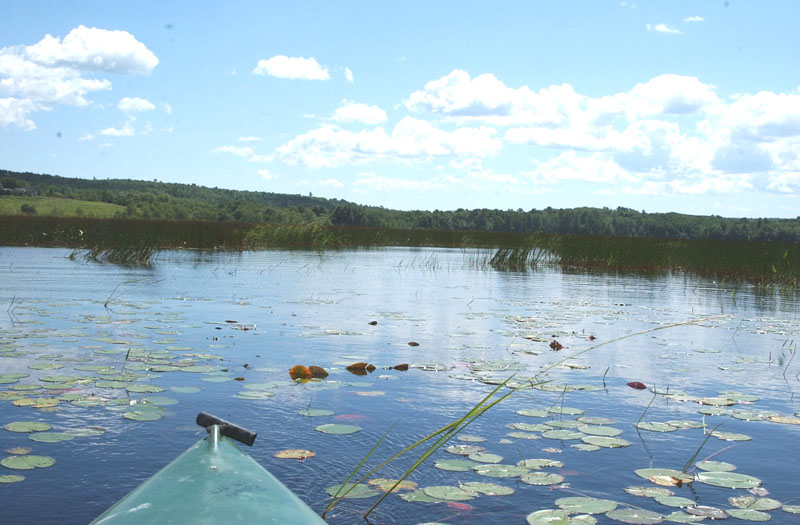 NEWsherman lake-1-2-color - The Lincoln County News
