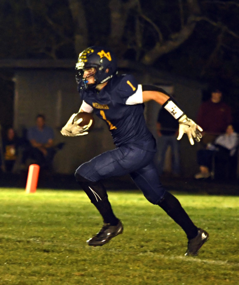 Panthers Stung By Hornets - The Lincoln County News